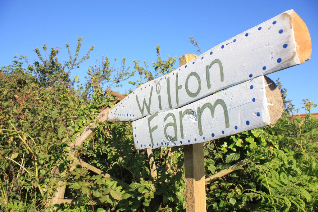 Wilton Farm Sign - Wilton Farm